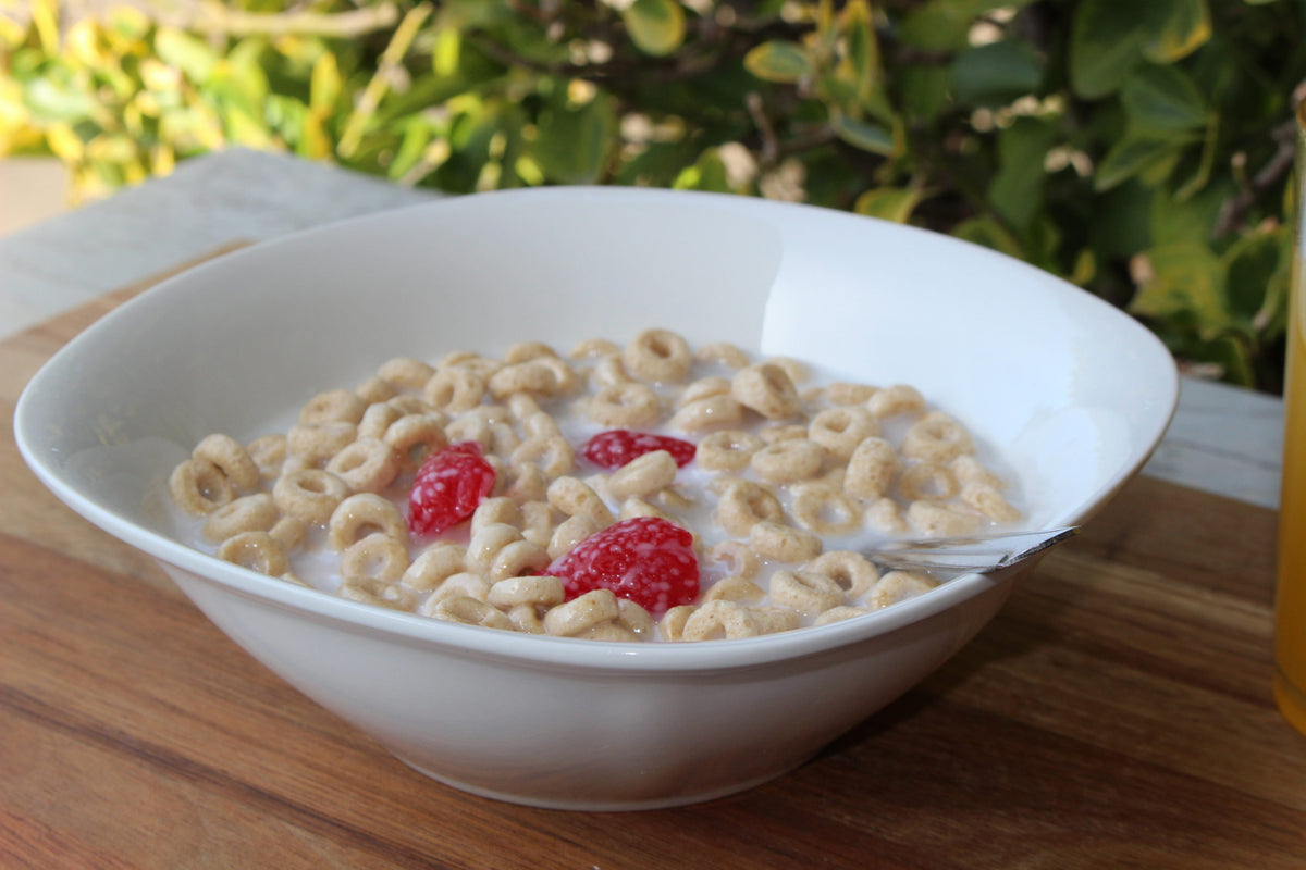 Bowl Of Faux Cheerios With Strawberries – Hartz Honey Hole